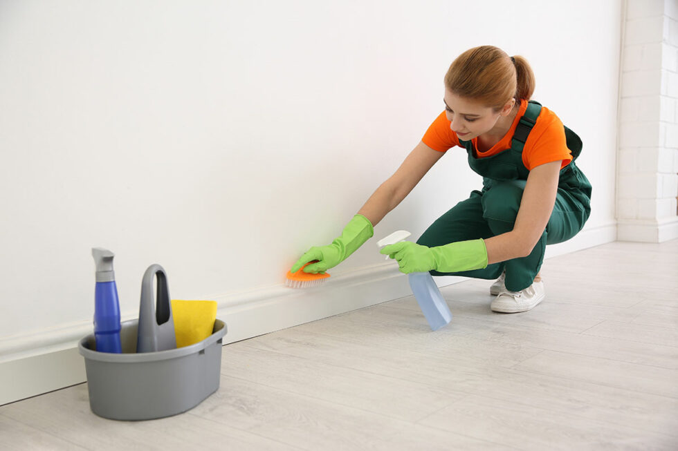 Deep Cleaning and Spring Cleaning | Tidy Casa